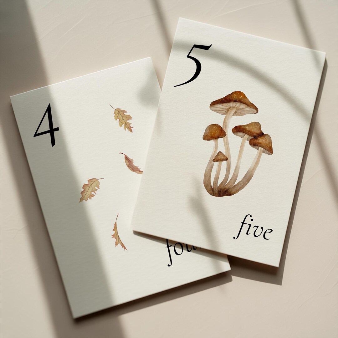 Printable Fall Number Flashcards 1-10 | Autumn Counting Cards for ...