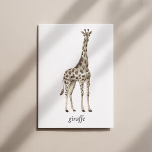 Montessori African Animal Flashcards PDF – Safari Animal Printable for ...