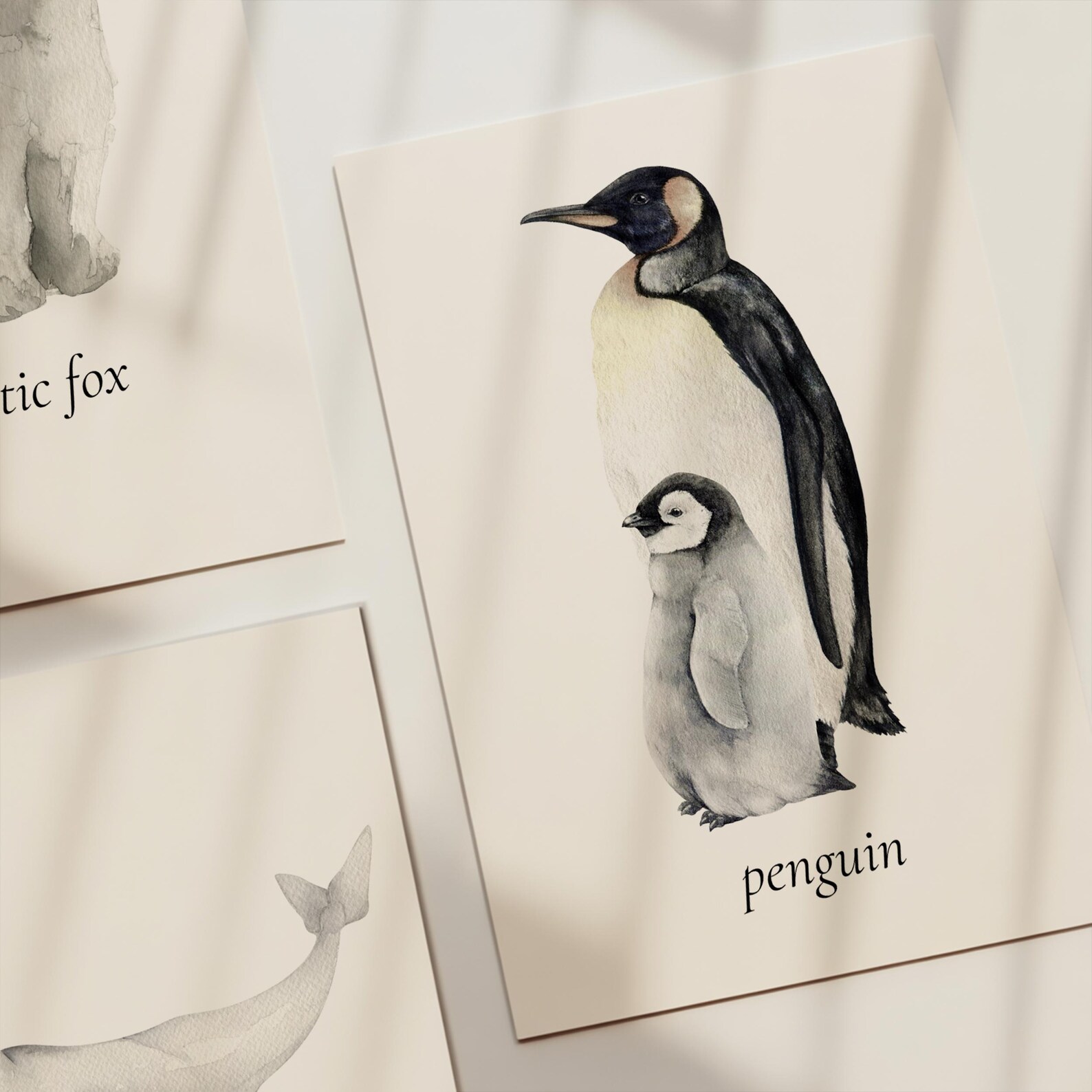 Printable Arctic Animal Flashcards for Kids – Montessori Preschool ...
