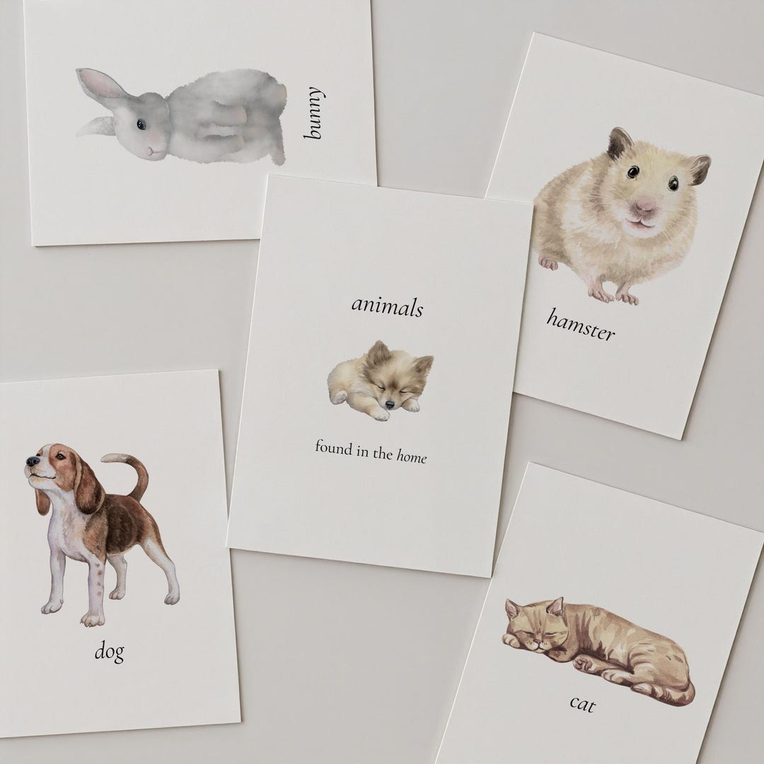 Pet Flashcards for Kids – Printable Animal Flashcards PDF, Preschool ...