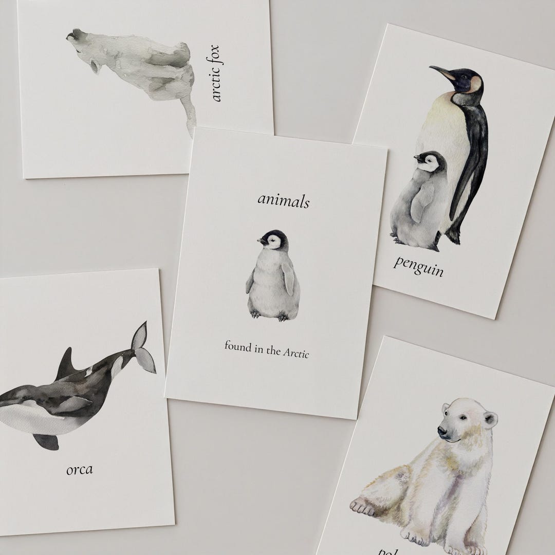 Printable Arctic Animal Flashcards for Kids – Montessori Preschool ...
