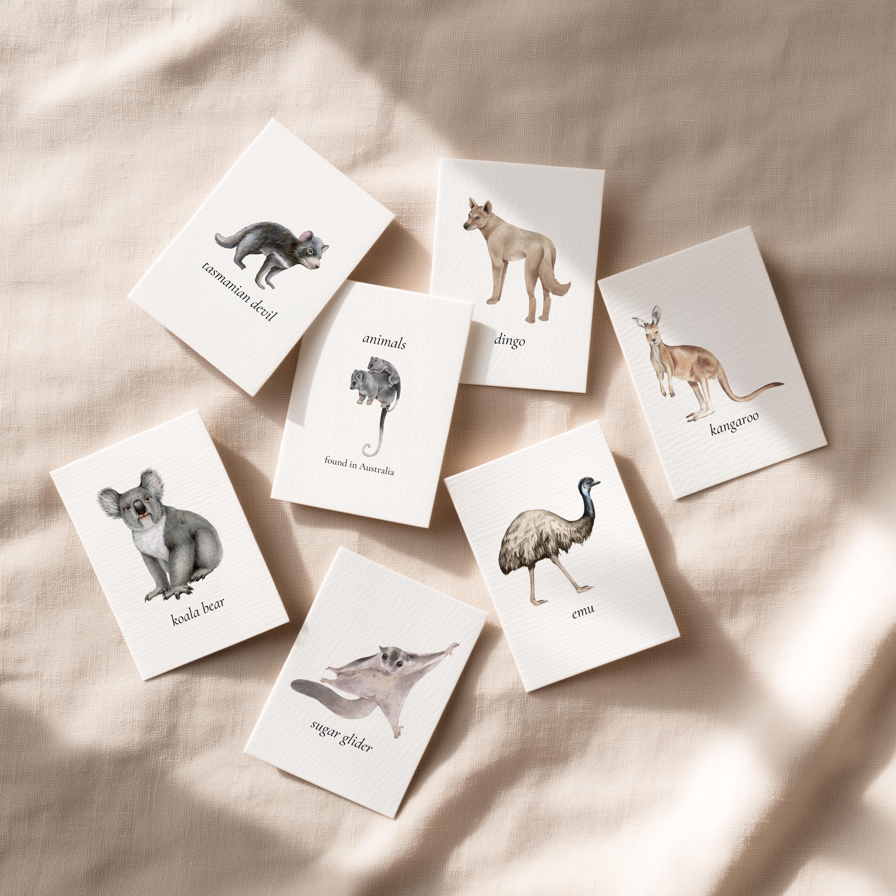 Printable Australian Animal Flashcards – Montessori Learning Cards for ...