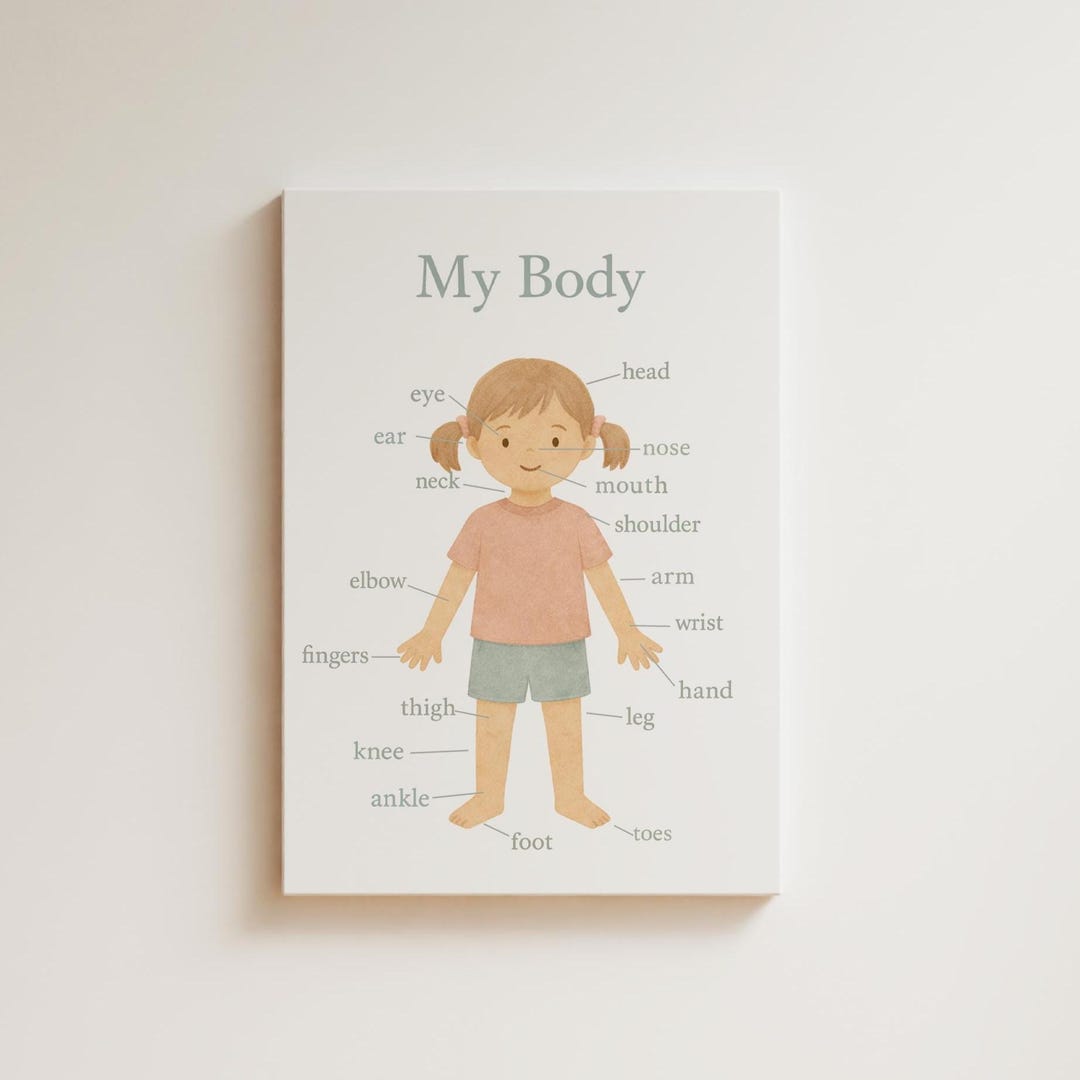 My Body Poster Girl | Body Parts Chart for Kids | Montessori Anatomy ...