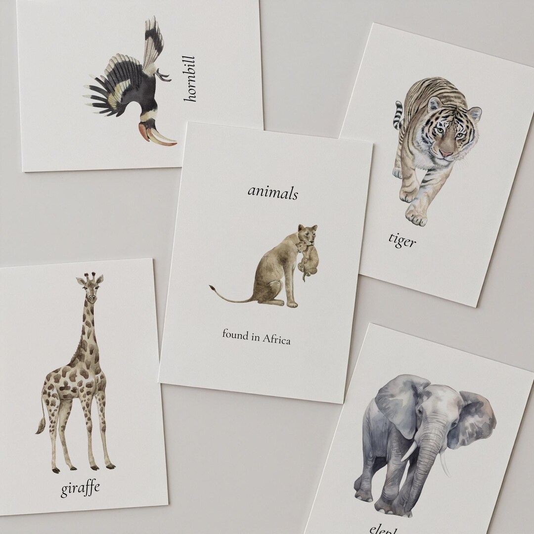 Montessori African Animal Flashcards PDF – Safari Animal Printable for ...