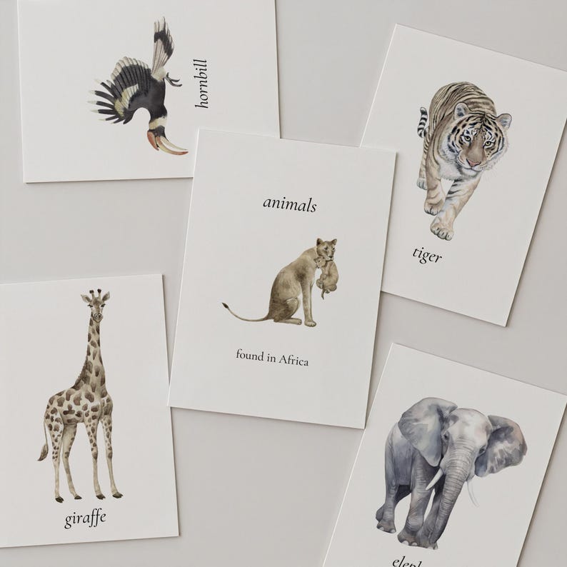 Montessori African Animal Flashcards PDF – Safari Animal Printable for ...