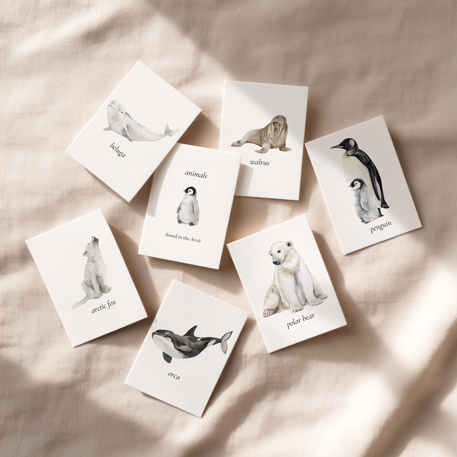 Printable Arctic Animal Flashcards for Kids – Montessori Preschool ...