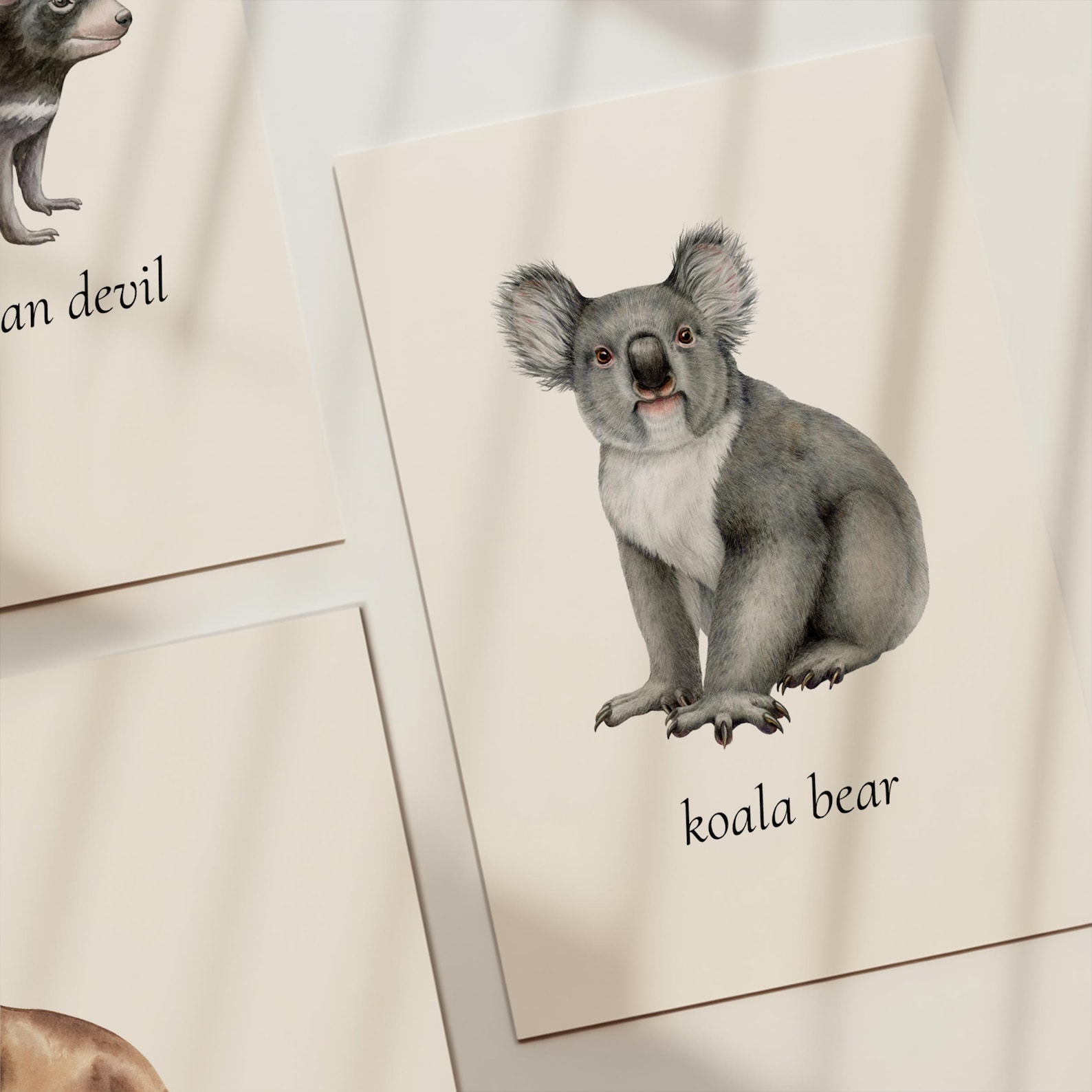 Printable Australian Animal Flashcards – Montessori Learning Cards for ...