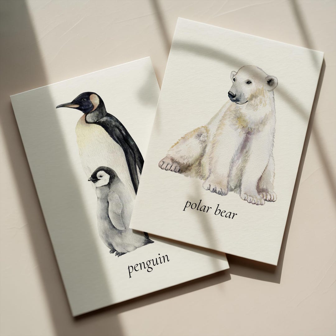 Arctic Animal Flashcards – Printable Polar Bear, Penguin, Orca, Walrus ...