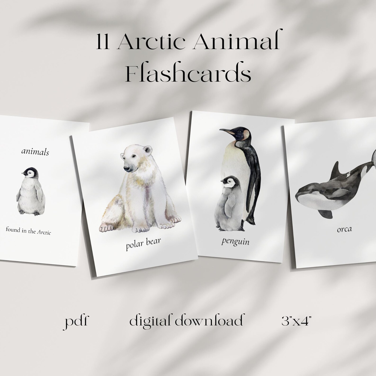 Printable Arctic Animal Flashcards for Kids – Montessori Preschool ...
