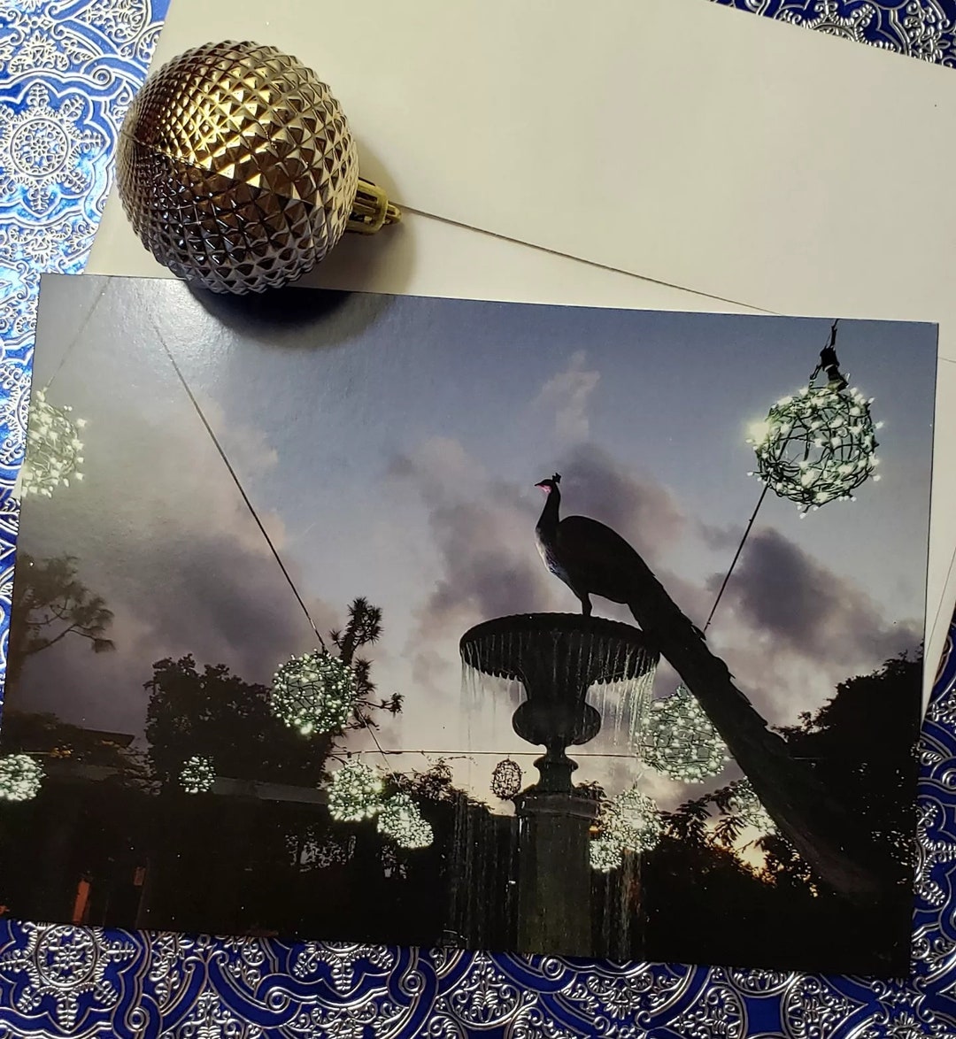 Our Iconic Peacock Fountain at Christmas - Etsy