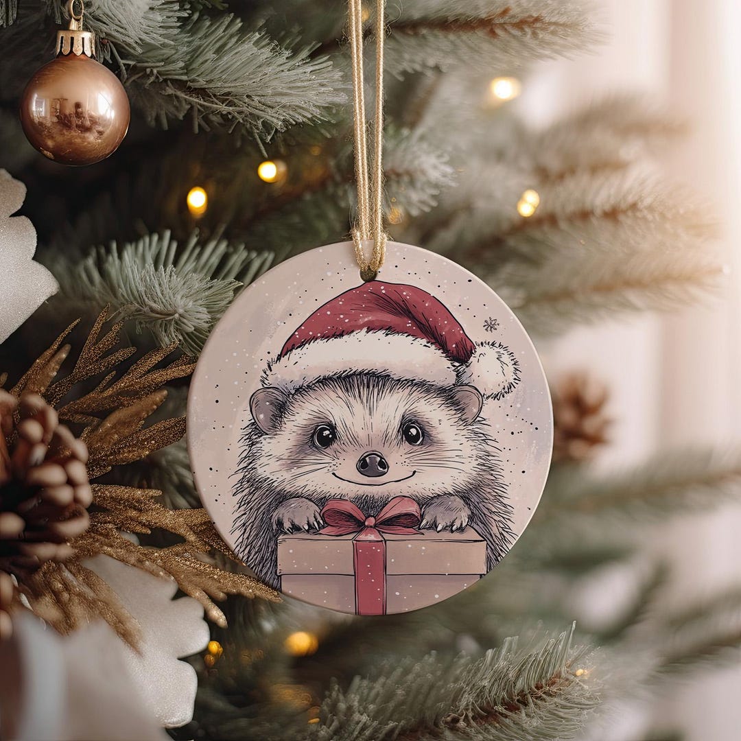Cute Hedgehog Christmas Ornament, Santa Hat Doodle, Gift Box Design ...