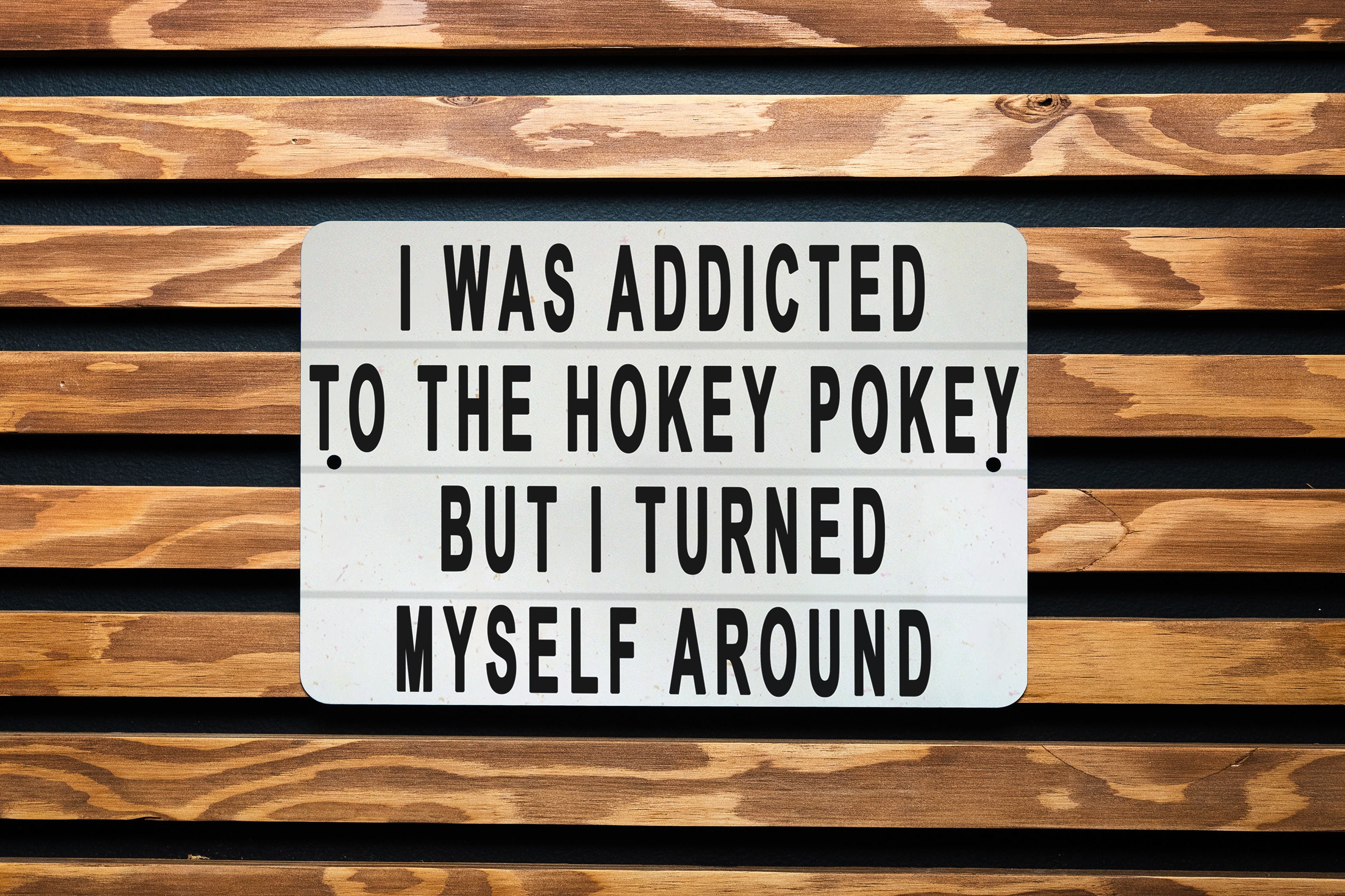 I Was Addicted to the Hokey Pokey but I Turned Myself Around Metal Sign ...