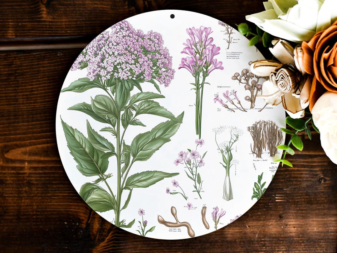 Botanical Elegance Round Metal Sign, Delicate Pink Blossoms, Vintage ...