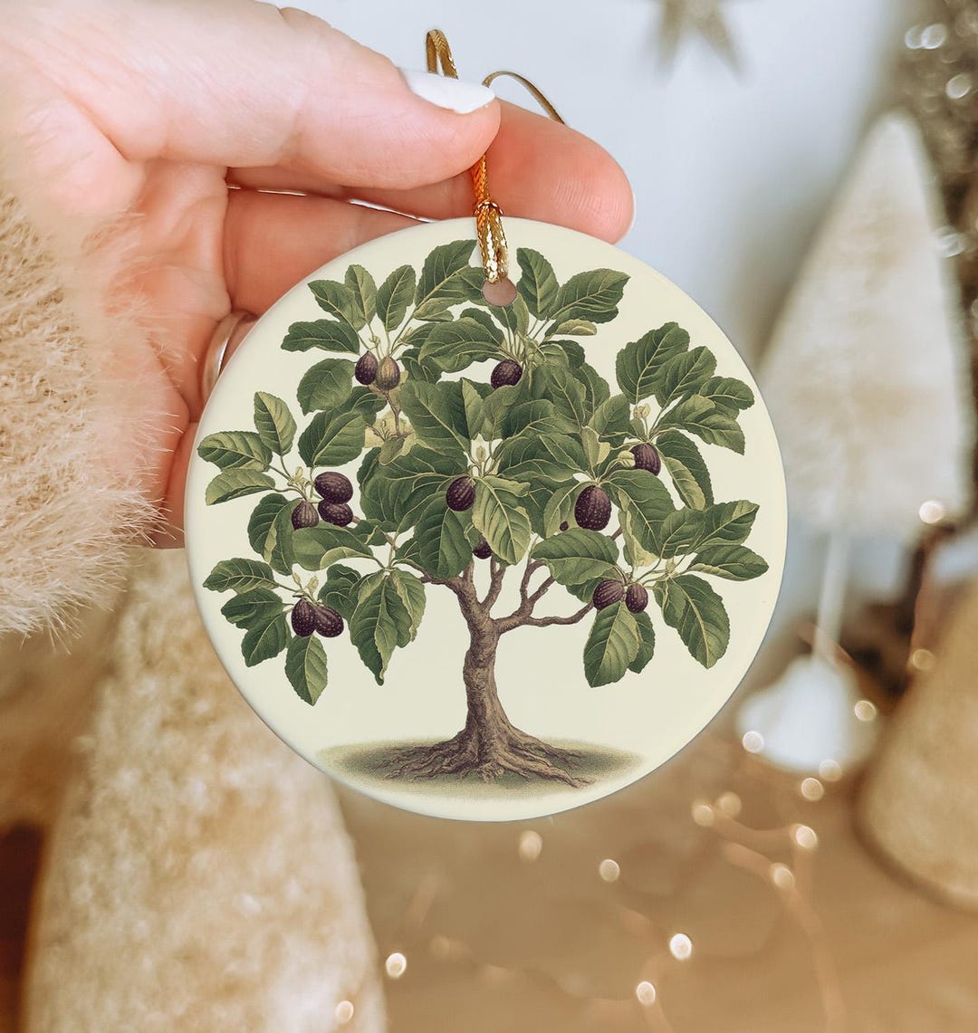 Vintage Botanical Fig Ceramic Ornament, Circular Design, Fig ...