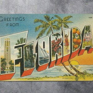 Vintage Florida Post Card Art, Metal Sign, Gift for Floridians, Florida ...