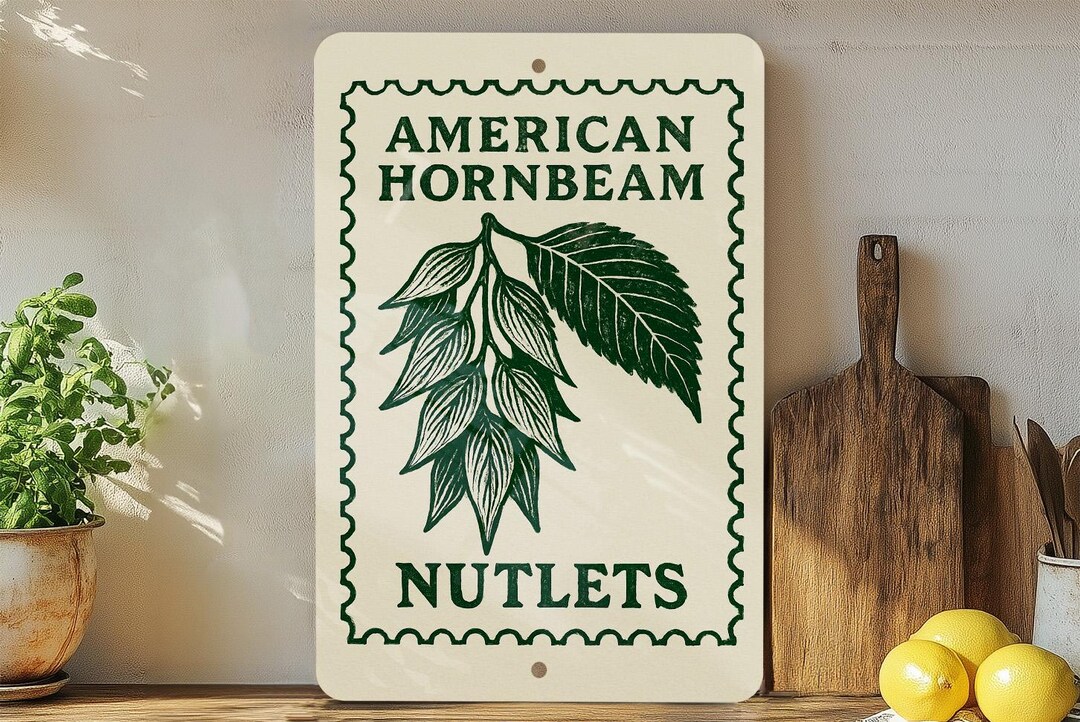 American Hornbeam Nutlets Metal Sign – Vintage Botanical Stamp Style ...