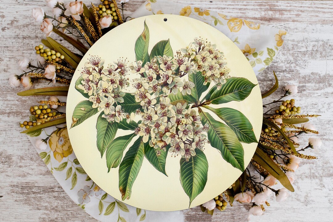 Victorian Blossom Round Metal Sign, Vintage White Florals, Nature's ...