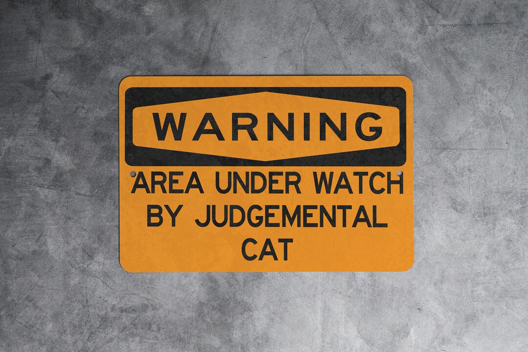 Area Under Watch by Judgemental Cat Metal Sign, Cat Lover Decor, Feline ...
