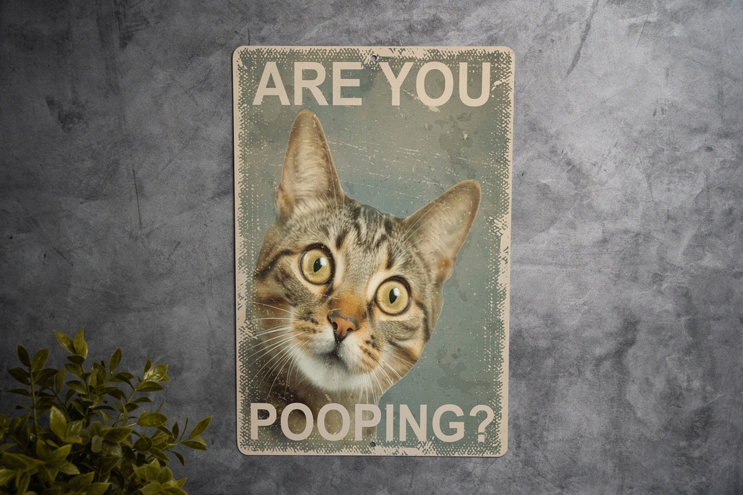 Are You Pooping? Cat Bathroom Metal Signs - Funny Home Decor, Cat Lover ...