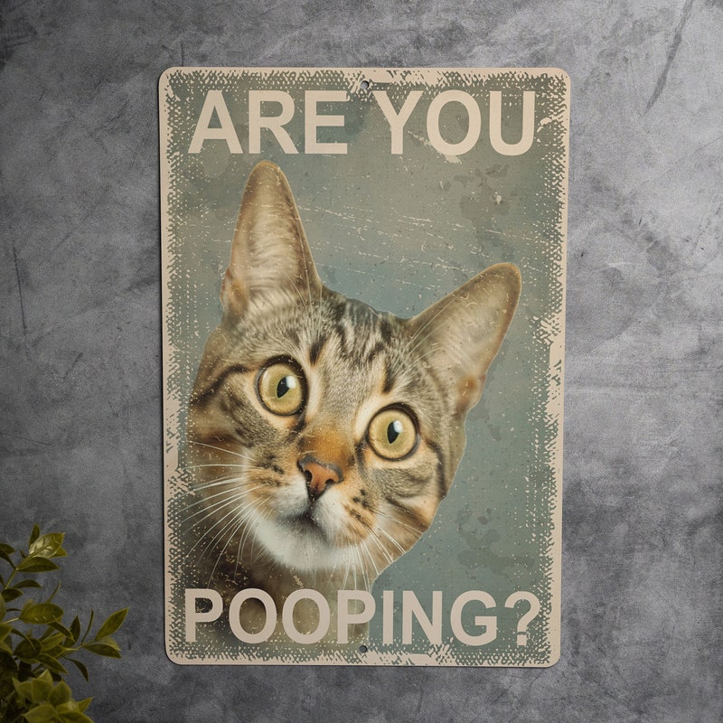Tin Signs Funny Cat - Etsy