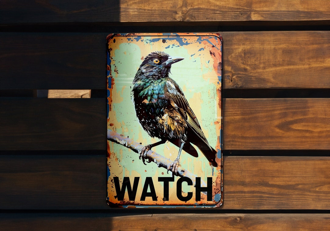 Vintage Birdwatching Sign, Metal Wall Decor, Aluminum Sign, Retro Style ...