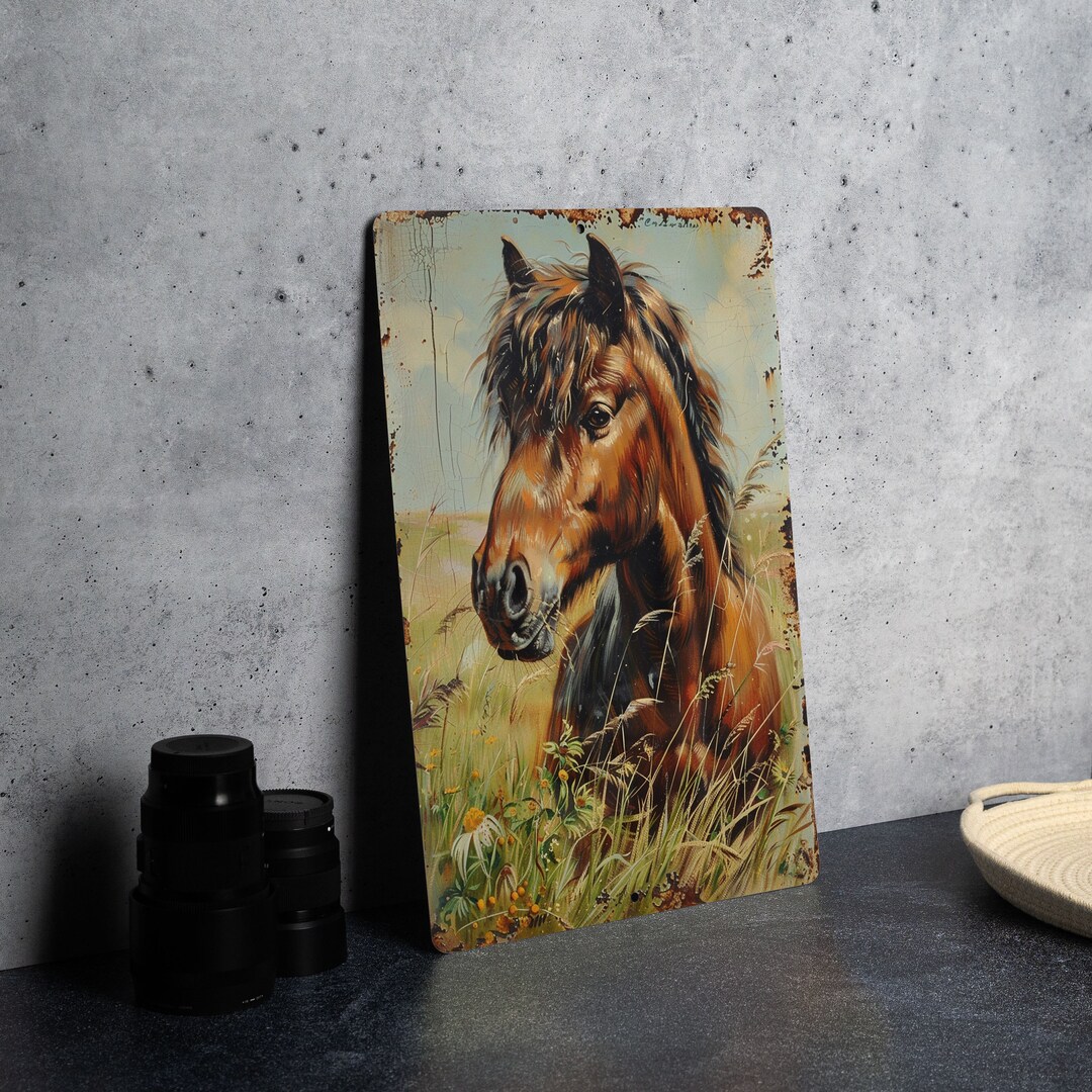Exmoor Pony Vintage Aluminum Sign - Metal Wall Art, Home Decor, Retro ...