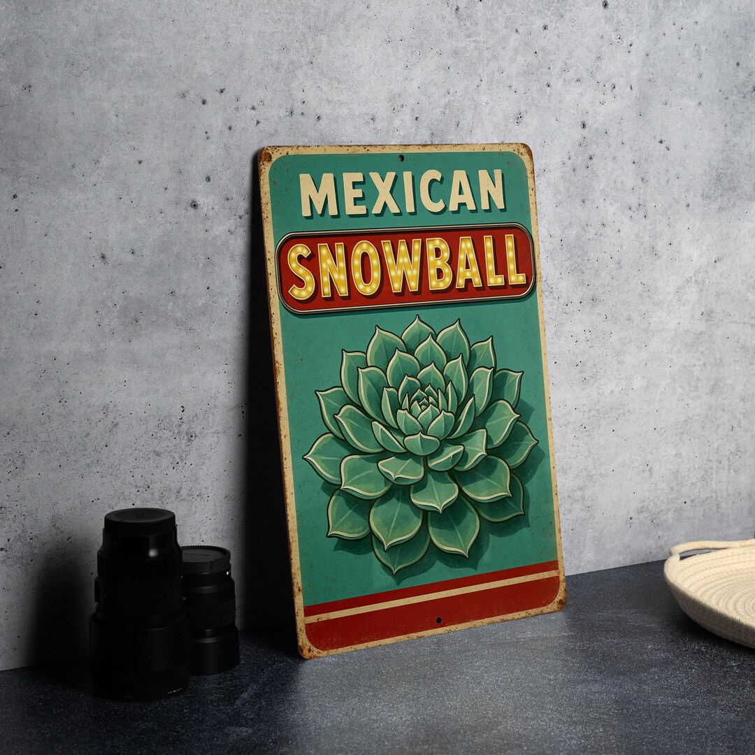 Retro Mexican Snowball Diner Tin Sign – Turquoise & Cherry Red, Chrome ...