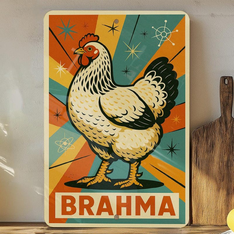 Retro Chicken Coop Signs - Etsy