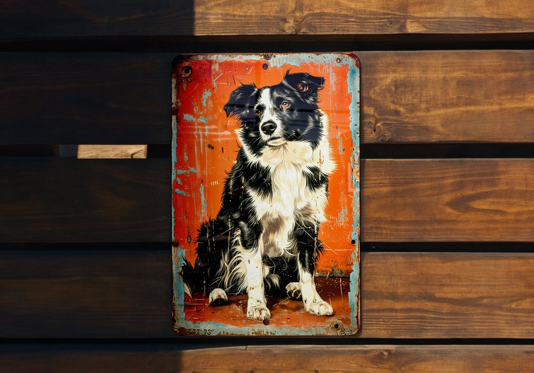 Border Collie Vintage Metal Sign - Funny Dog Decor, Retro Wall Art, Pet ...