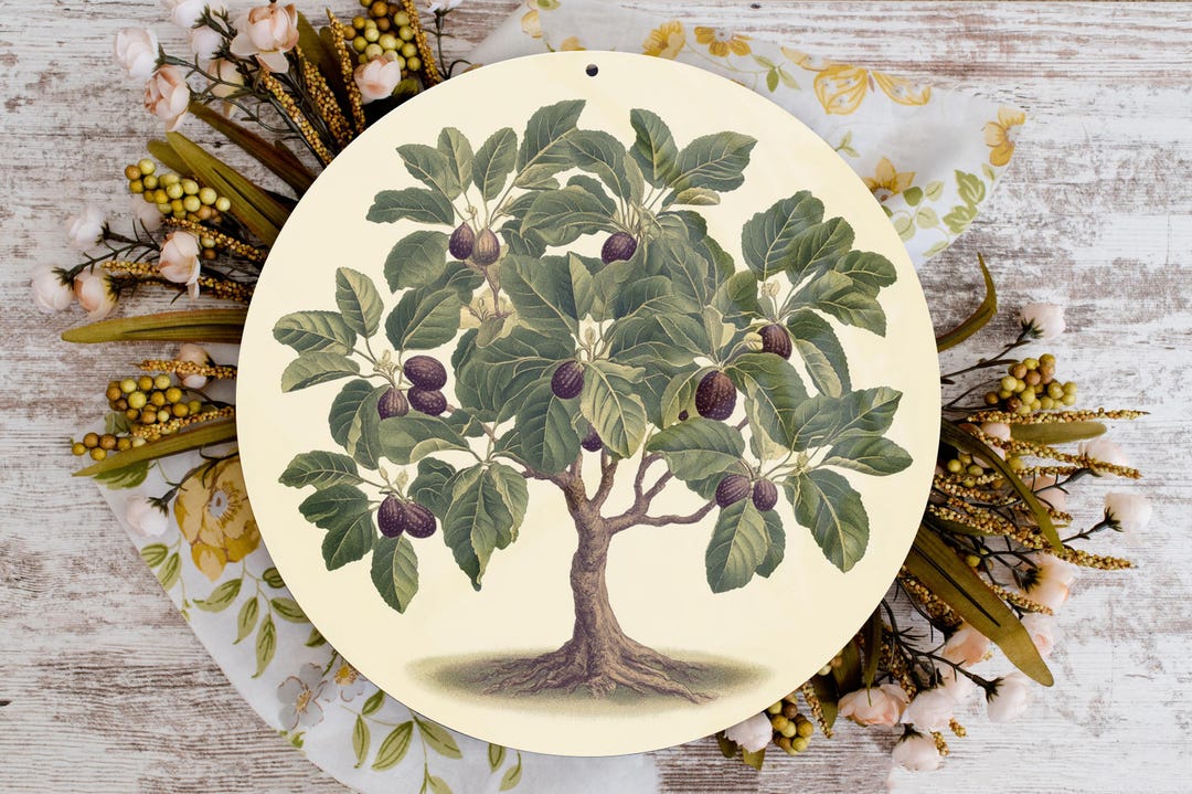 Vintage Foliage Round Metal Sign, Fig Tree Decor, Earthy Green Brown ...
