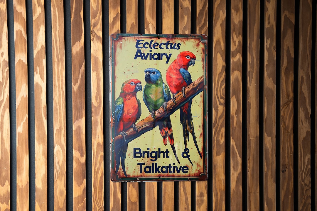 Eclectus Aviary Metal Sign, Bright Parrots, Talkative Birds, Vintage ...