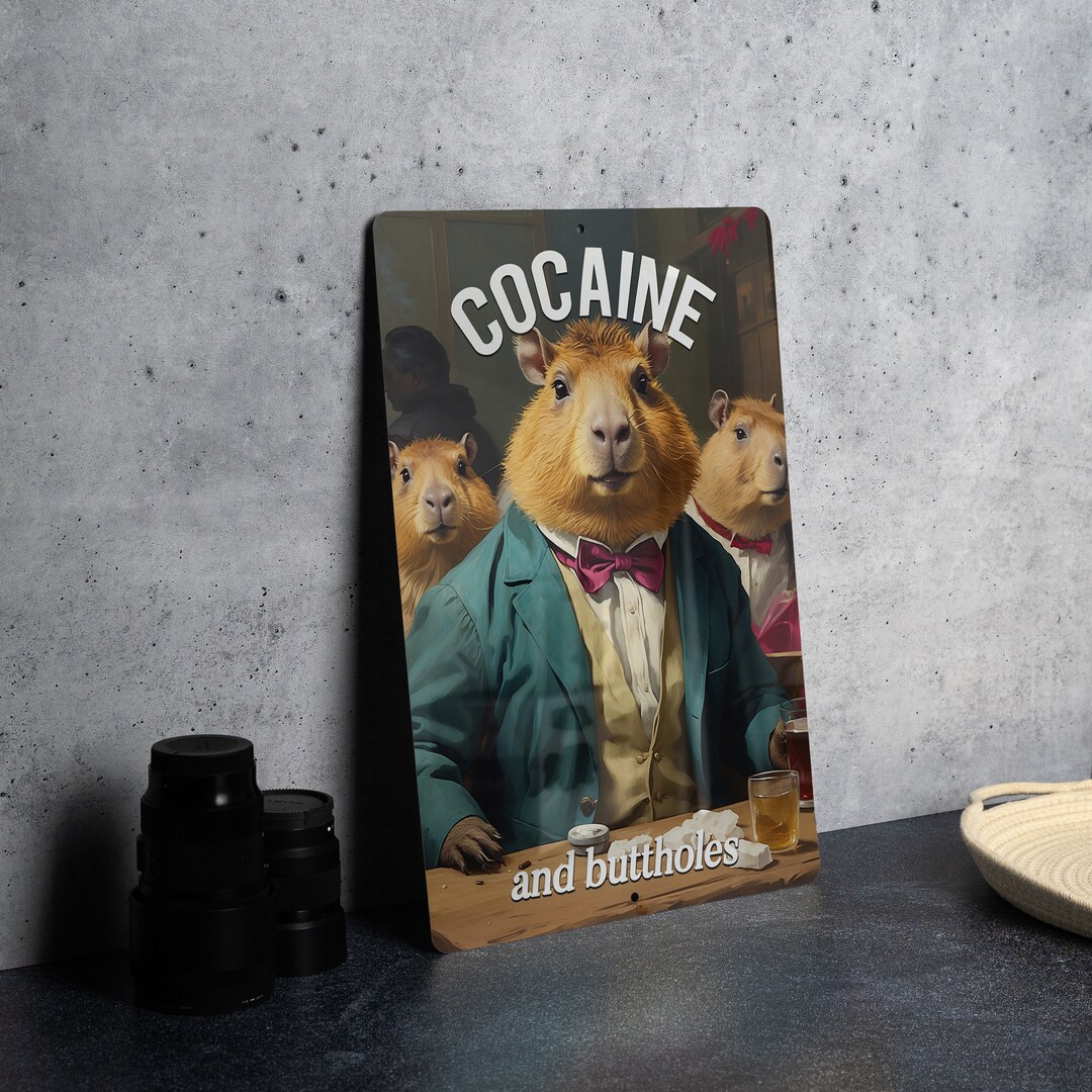Cocaine & Buttholes Metal Sign - Edgy Humor, Bold Statement, Unique Bar ...