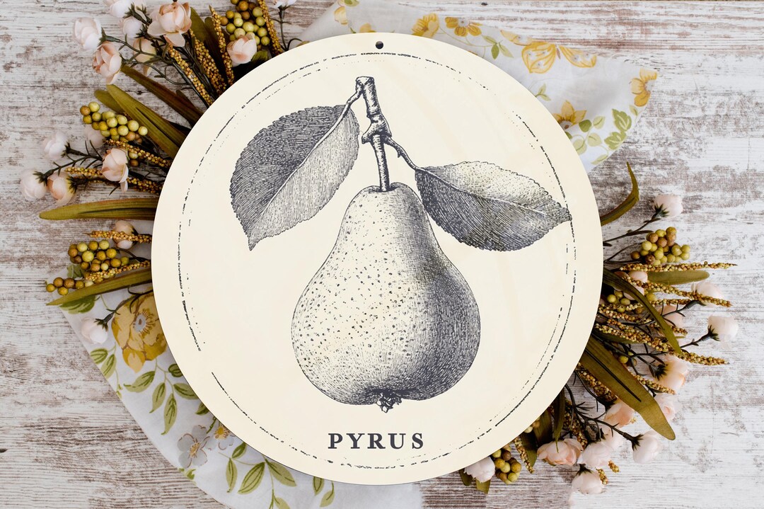 Vintage Orchard Elegance Round Metal Sign, Ink Etching Pear Art, Sepia ...