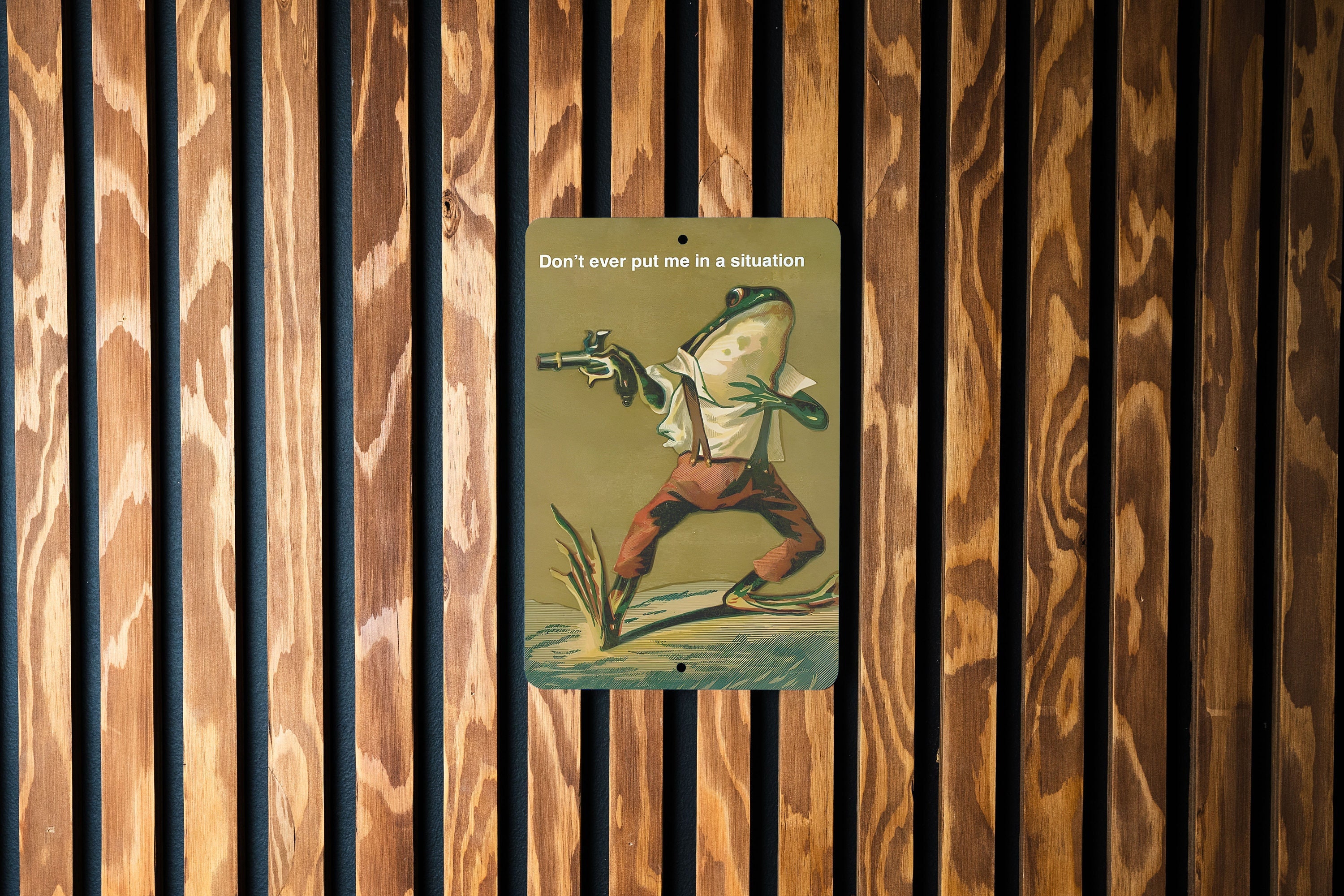 Don't Put Me in a Situation Frog, Metal Sign, Funny Gift, Frog Gift ...