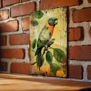 Senegal Parrot Metal Sign, Vintage Style Decor, Bird Wall Art, Parrot ...