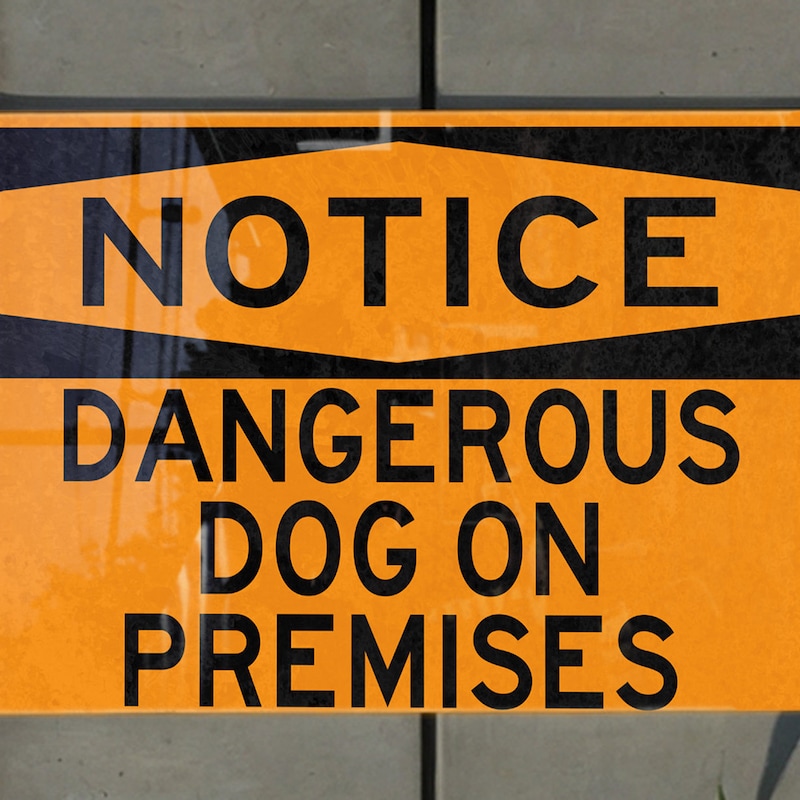 Warning Dangerous Dog Sign - Etsy