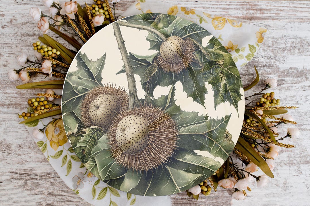 Spiky Autumns Embrace Round Metal Sign, Botanical Serenity Decor ...