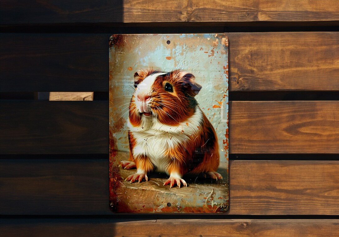 Texel Guinea Pig Metal Sign, Vintage Style Decor, Guinea Pig Gift, Wall ...