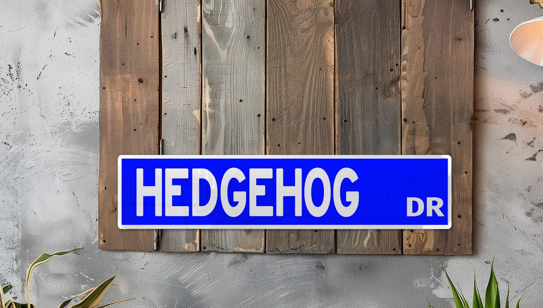 Custom Hedgehog Drive Metal Street Sign, Personalized Road Decor ...