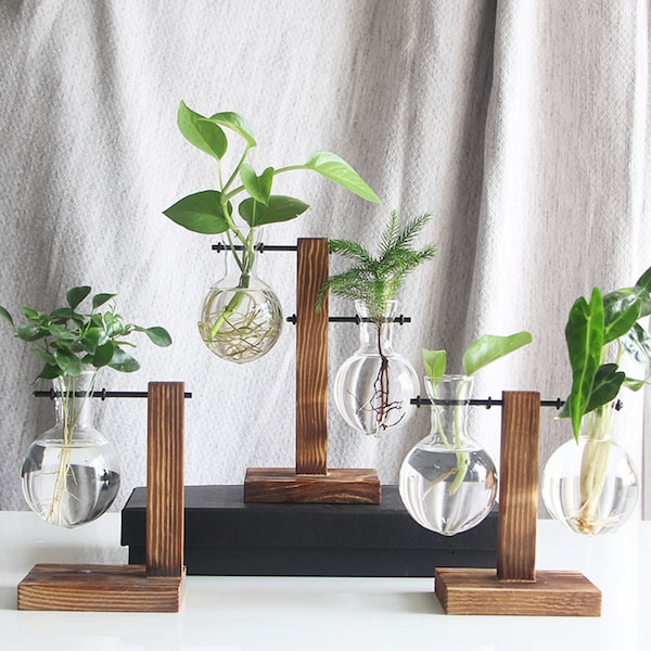 Small Glass Vases - Etsy