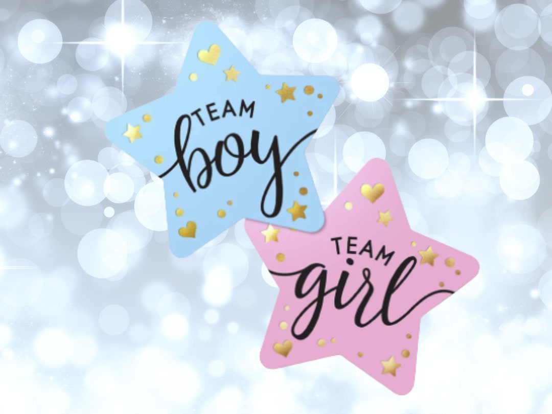 Baby Shower Team Boy Team Girl Stickers Family Party Supplies ...