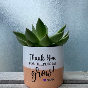End of School Year Teacher's Gift, Teacher Gift Plant, Succulent, End ...