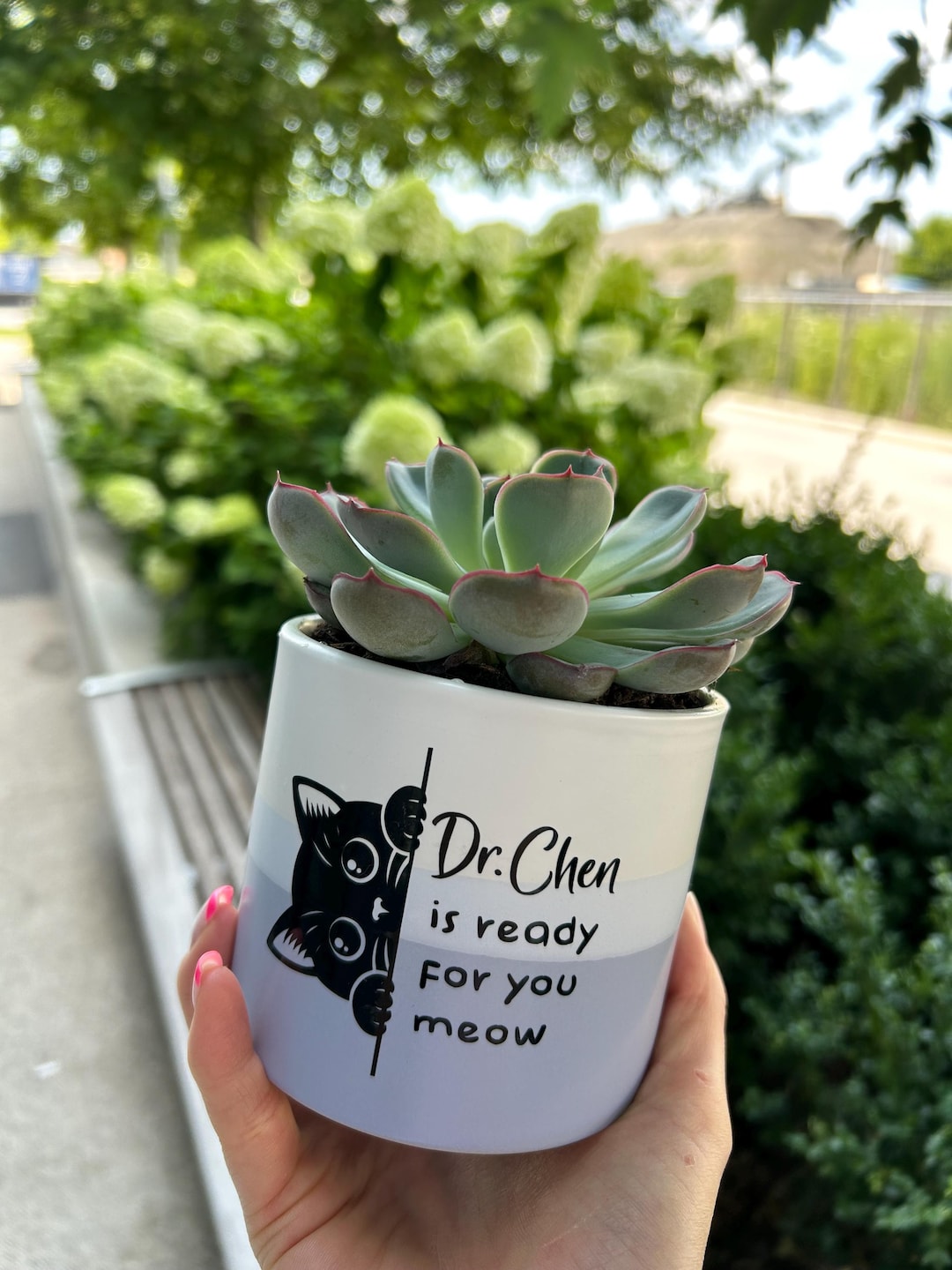 Custom Vet Name Flower Pot | Personalized Planter | Cat Lover Vet ...