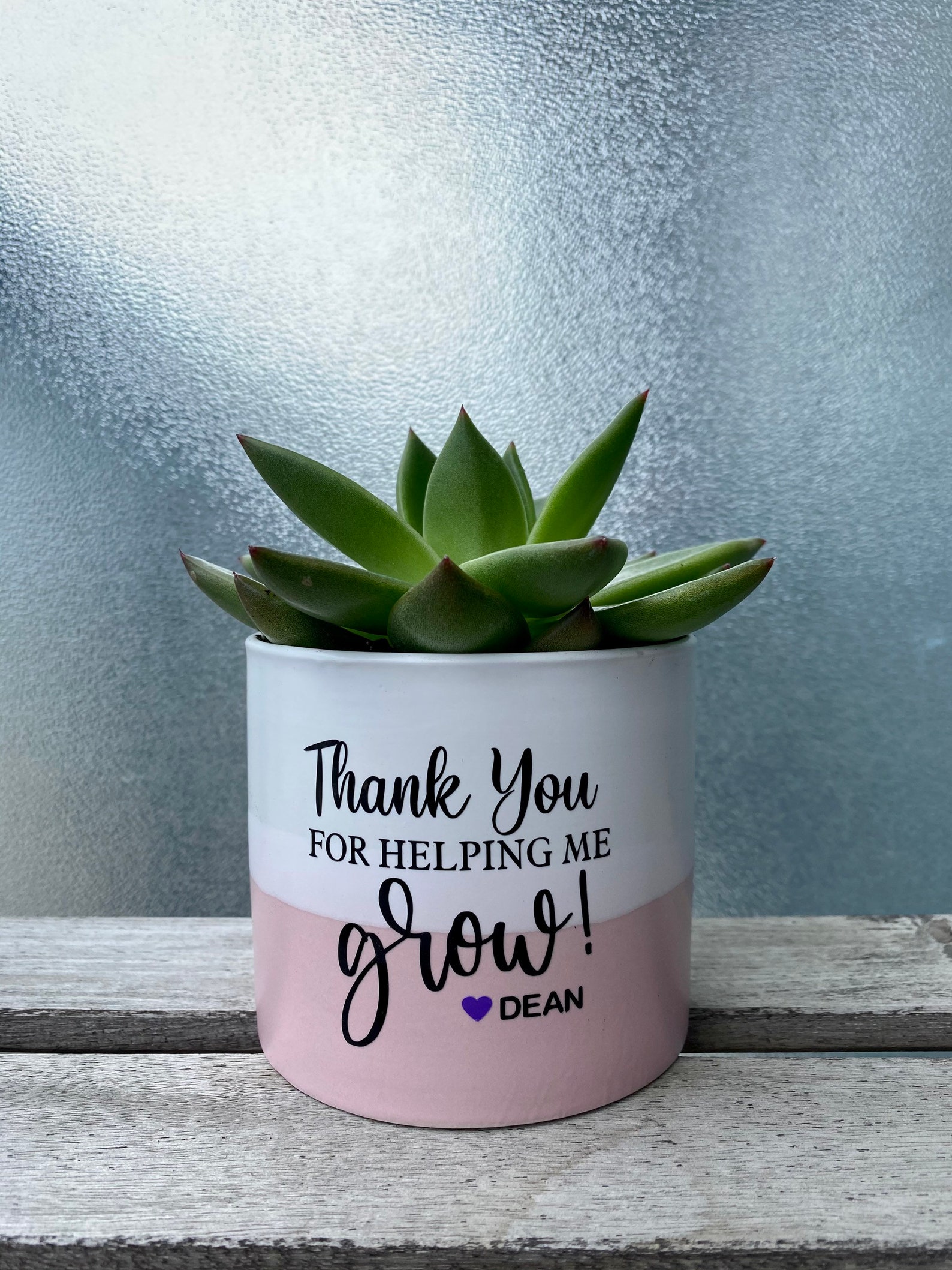 End of School Year Teacher's Gift Teacher Gift Plant - Etsy