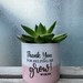 End of School Year Teacher's Gift, Teacher Gift Plant, Succulent, End ...