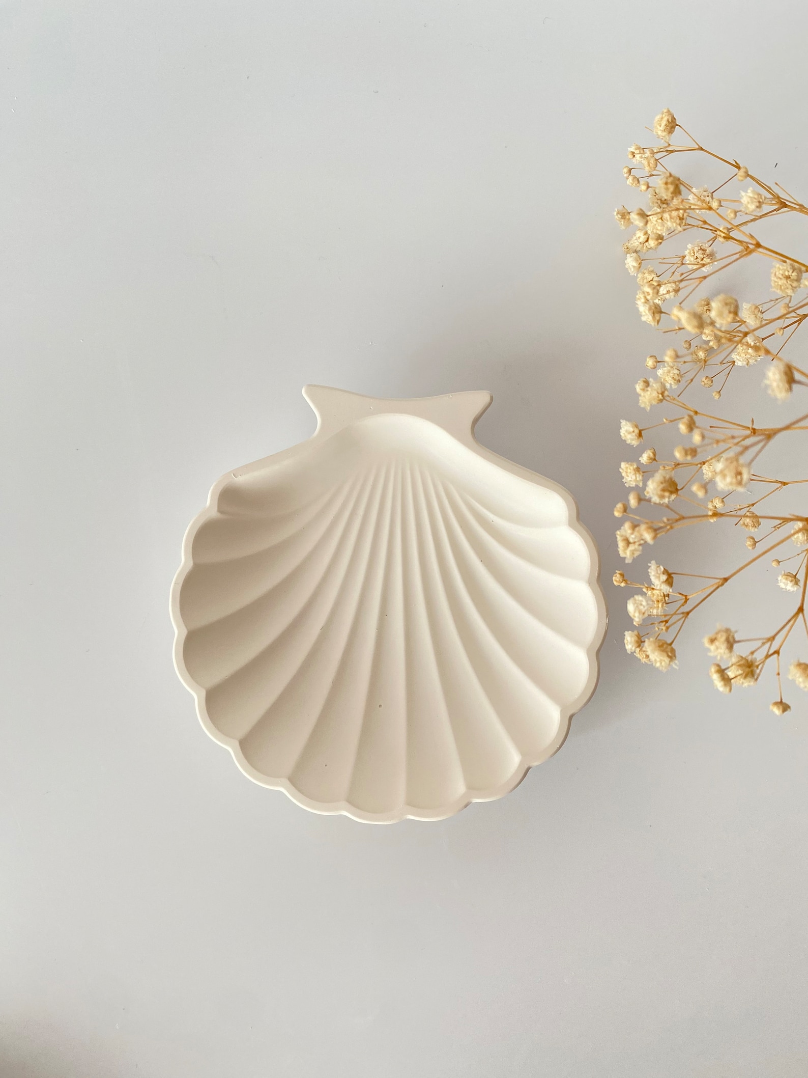 9 Color Options, Soft Color Sea Shell Dish, Trinket Tray, Displaying ...