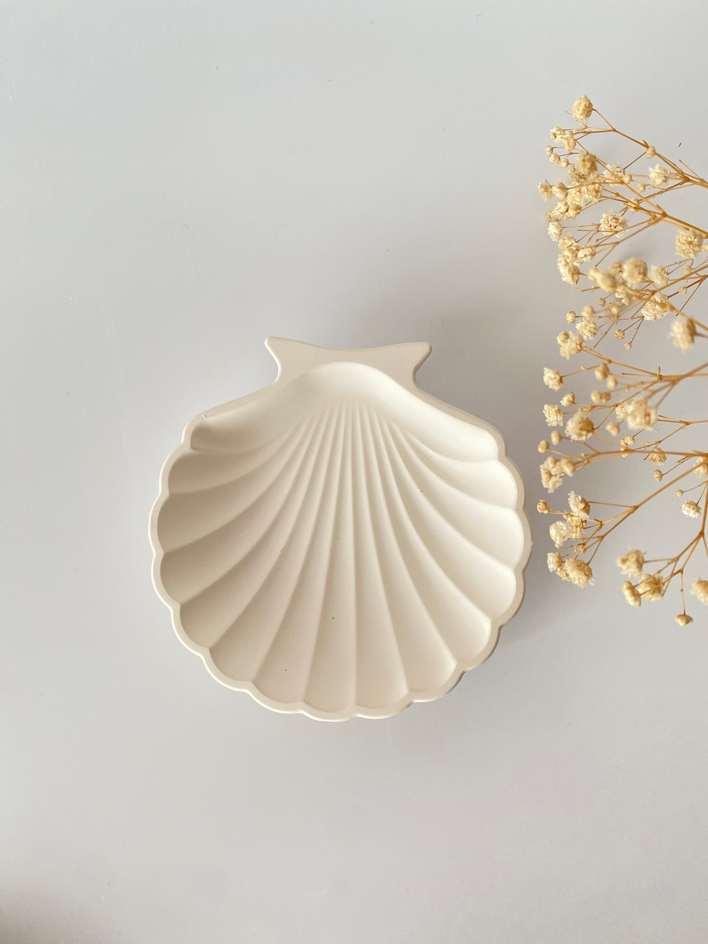 9 Color Options, Soft Color Sea Shell Dish, Trinket Tray, Displaying ...
