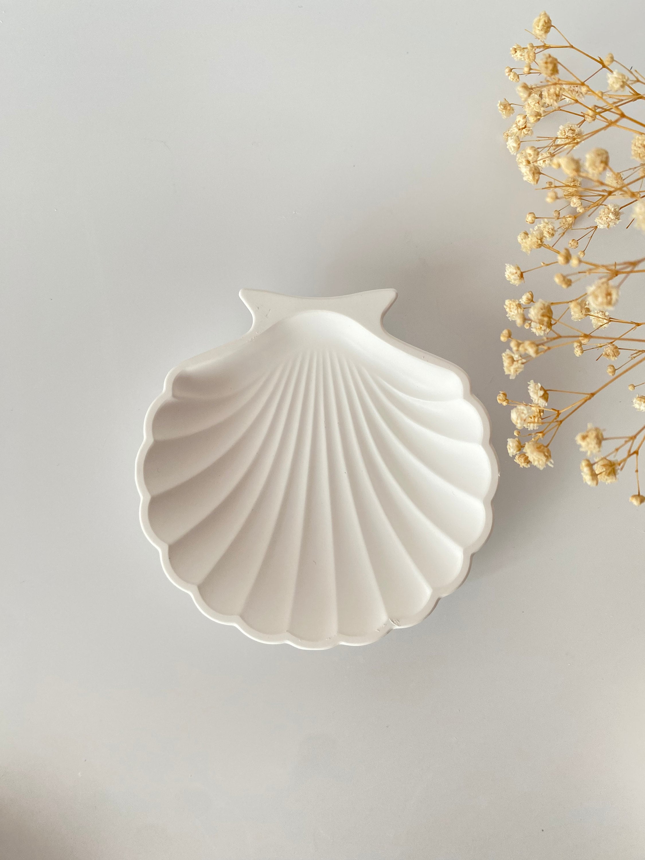 9 Color Options, Soft Color Sea Shell Dish, Trinket Tray, Displaying ...