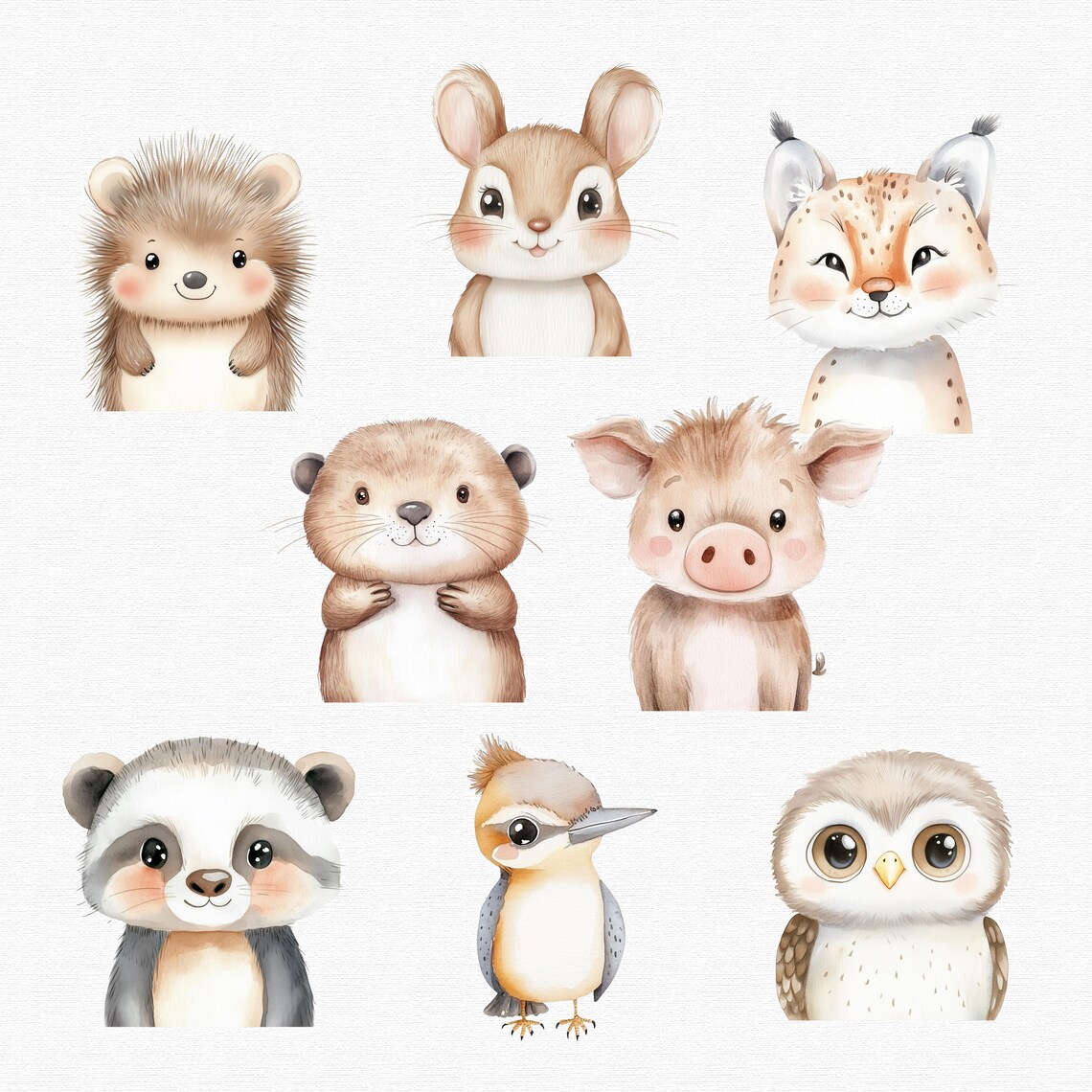 Forest Animal Clipart | Nursery Watercolor PNG (instant Download) - Etsy