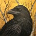 Gold Sky Crow. - Etsy
